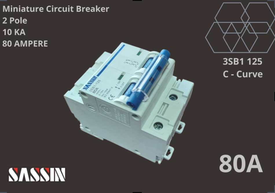 SASSIN Miniature Circuit Breaker 80A x 2P – Niolin Industrial Supply